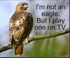 Naturalist Notes: The Sounds of Hollywood’s Nature — JohnsonNatureCenter