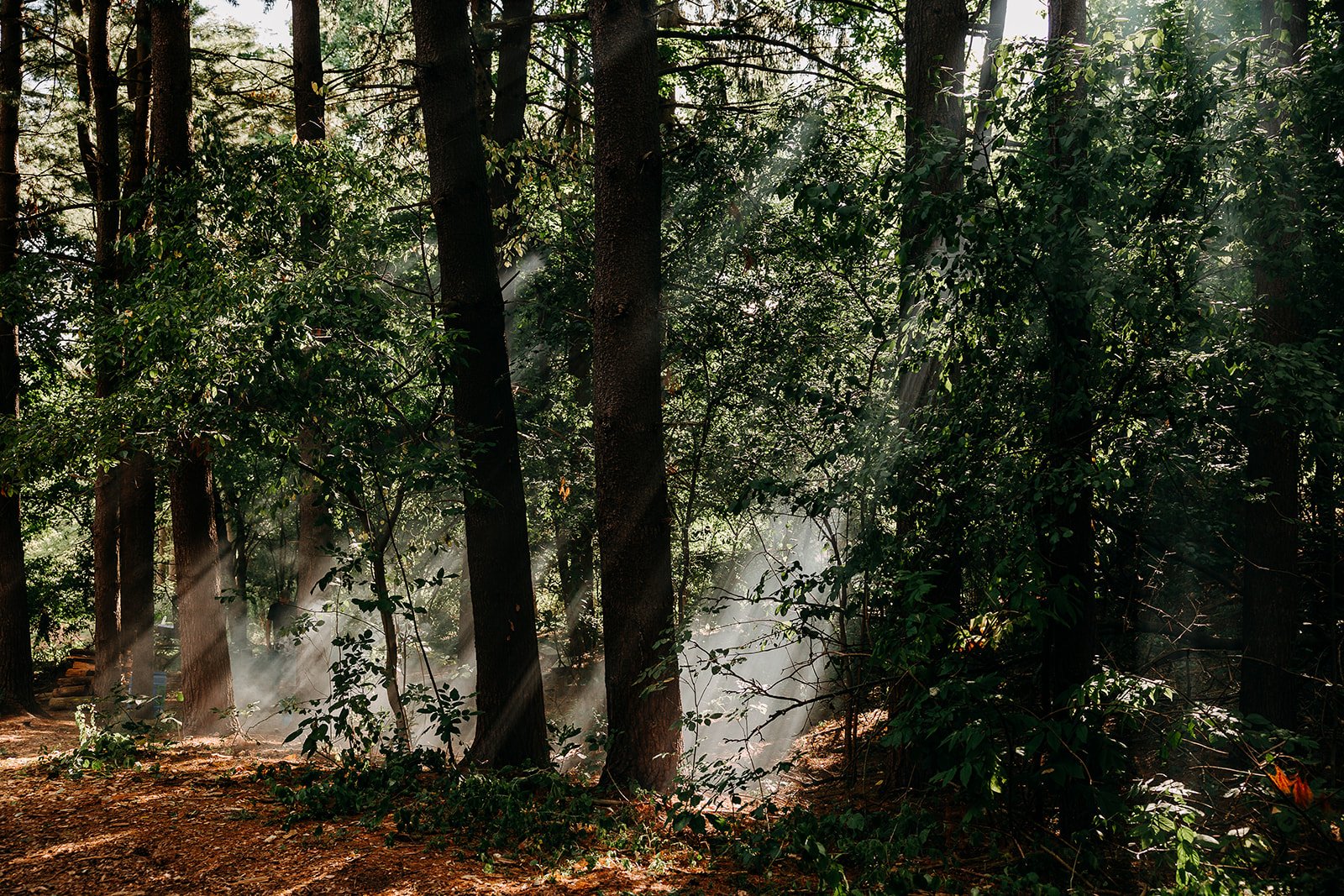 Membership — JohnsonNatureCenter