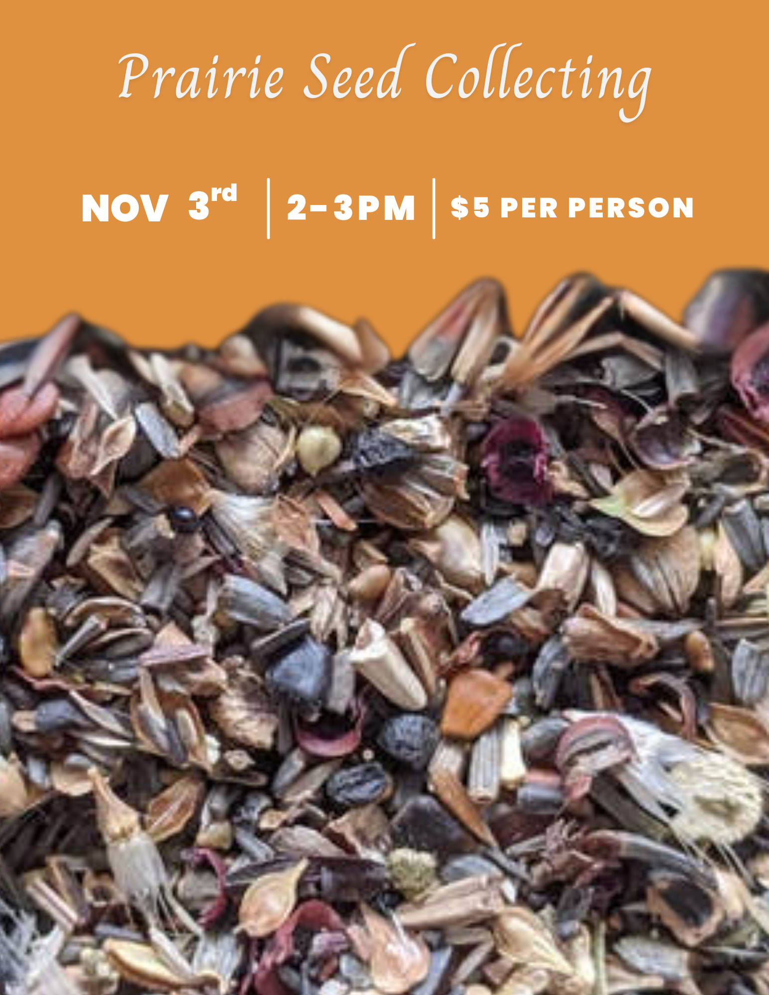 Prairie Seed Collecting — JohnsonNatureCenter