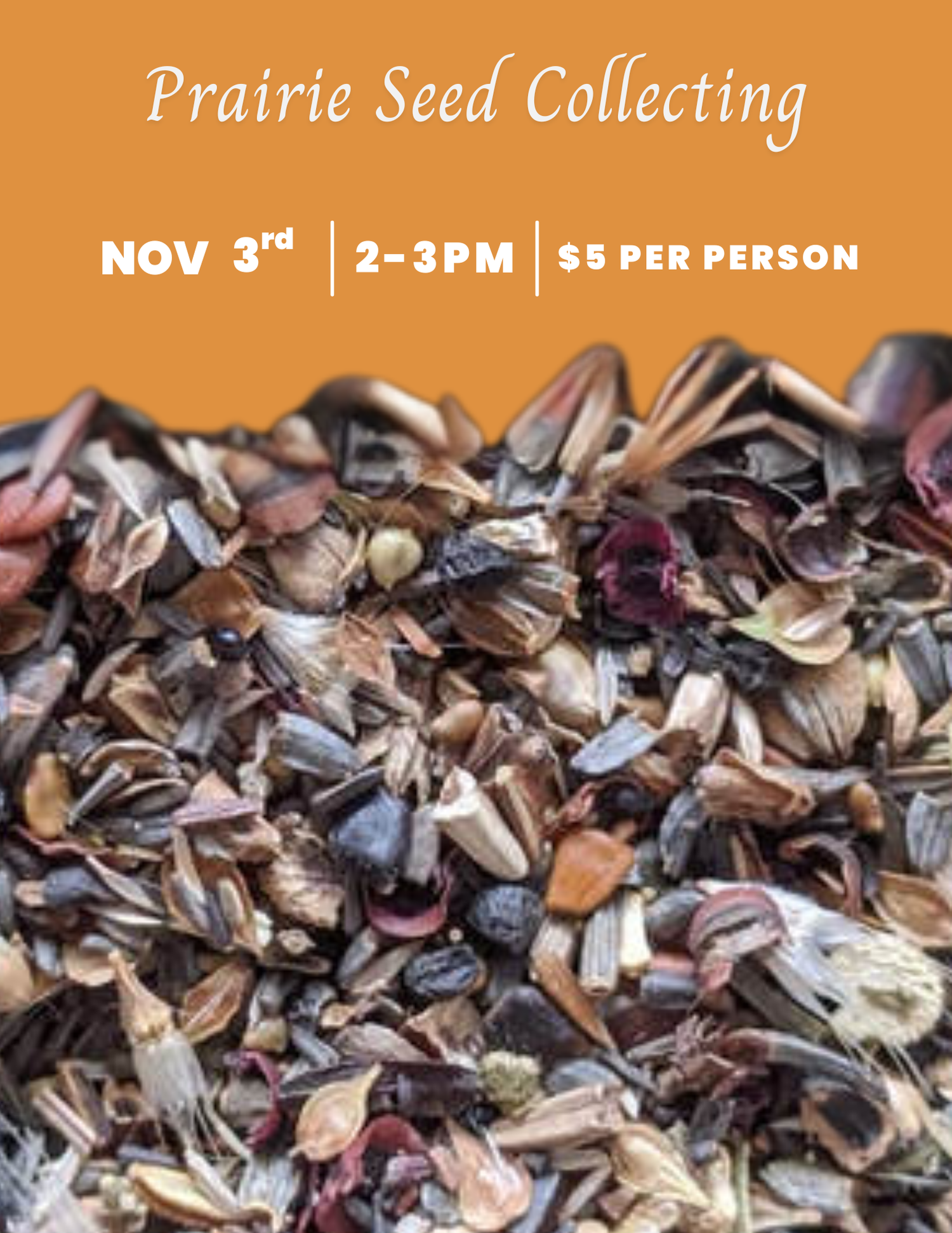 Prairie Seed Collecting — JohnsonNatureCenter