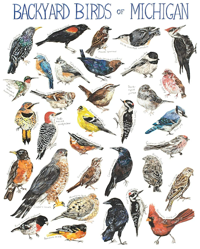 Naturalist Notes: Songs of Spring — JohnsonNatureCenter