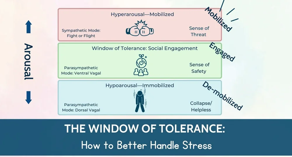 The Window of Tolerance