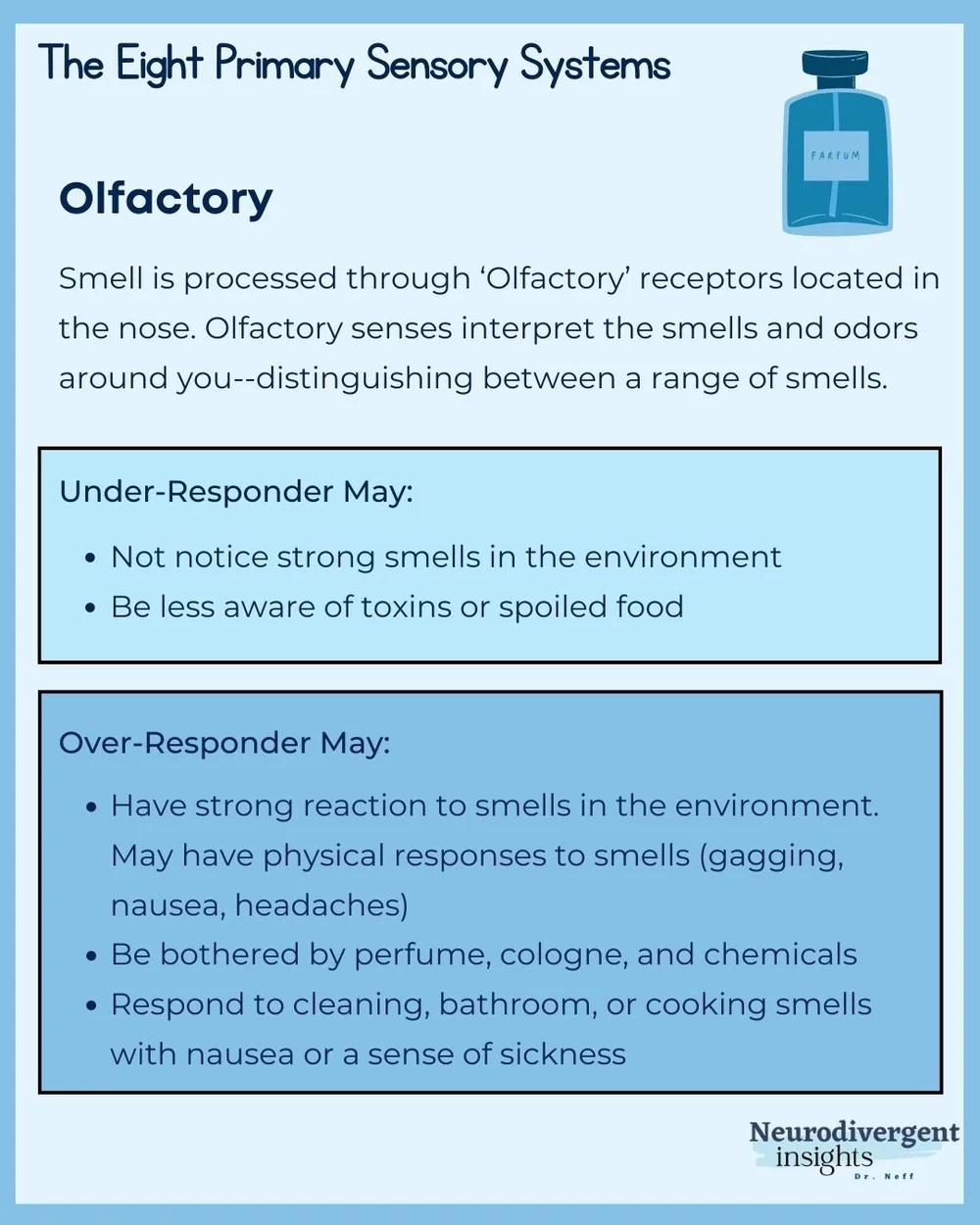 8 Senses of the Body | Exploring the Hidden Sensory Systems