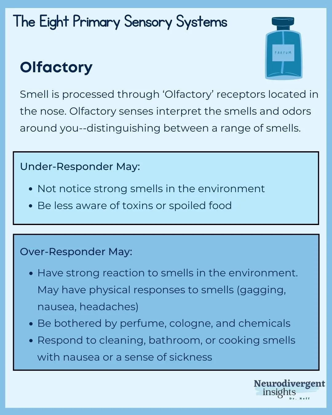 8 Senses of the Body | Exploring the Hidden Sensory Systems