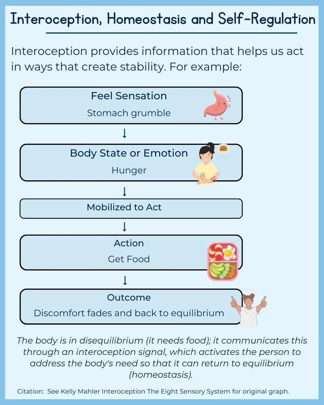 Interoceptors Function Lecture8 Nervous System