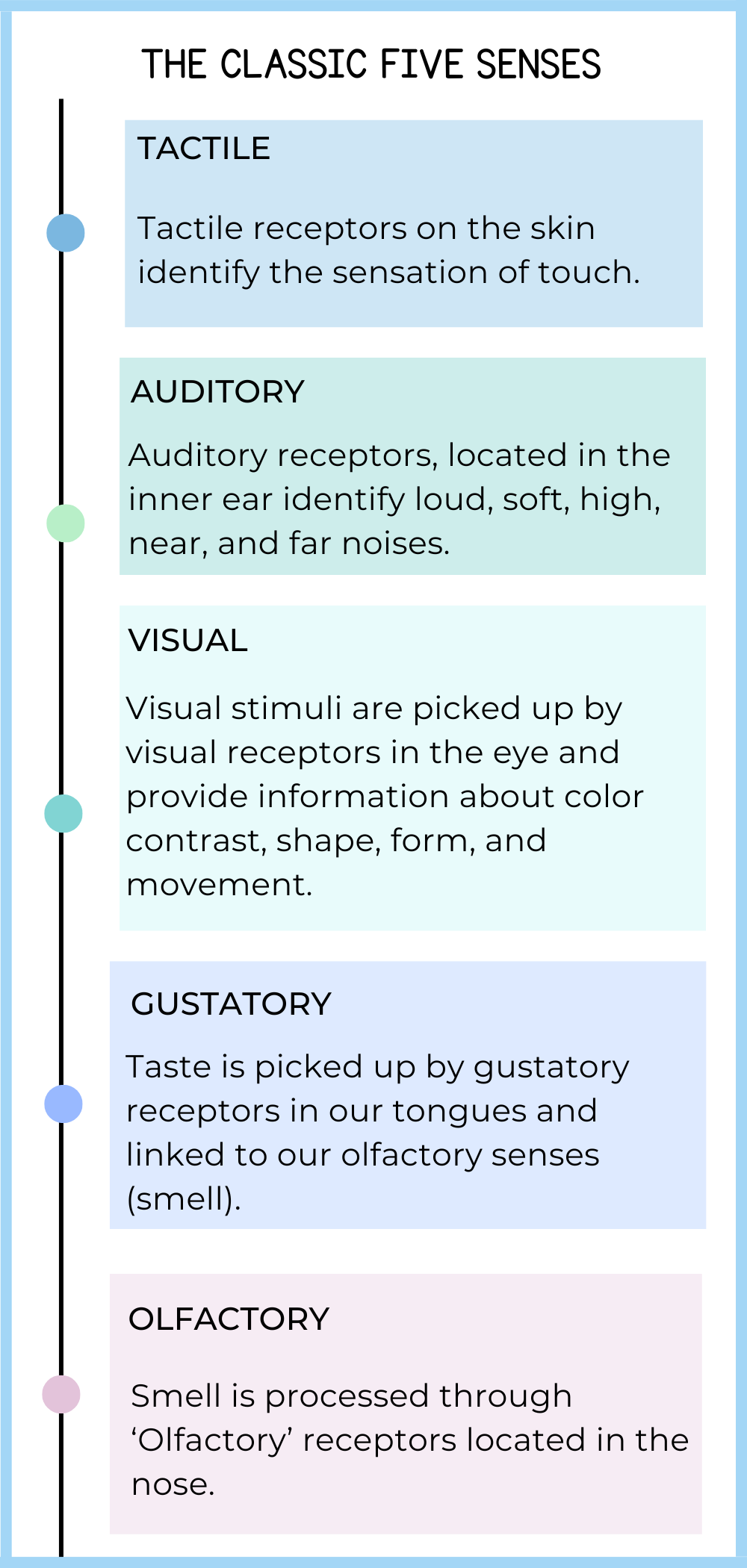 8 Senses of the Body | Exploring the Hidden Sensory Systems