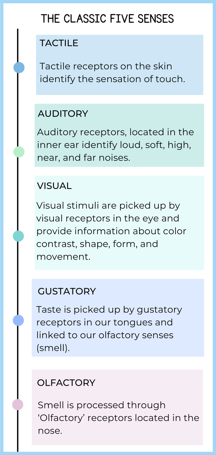8 Senses of the Body | Exploring the Hidden Sensory Systems