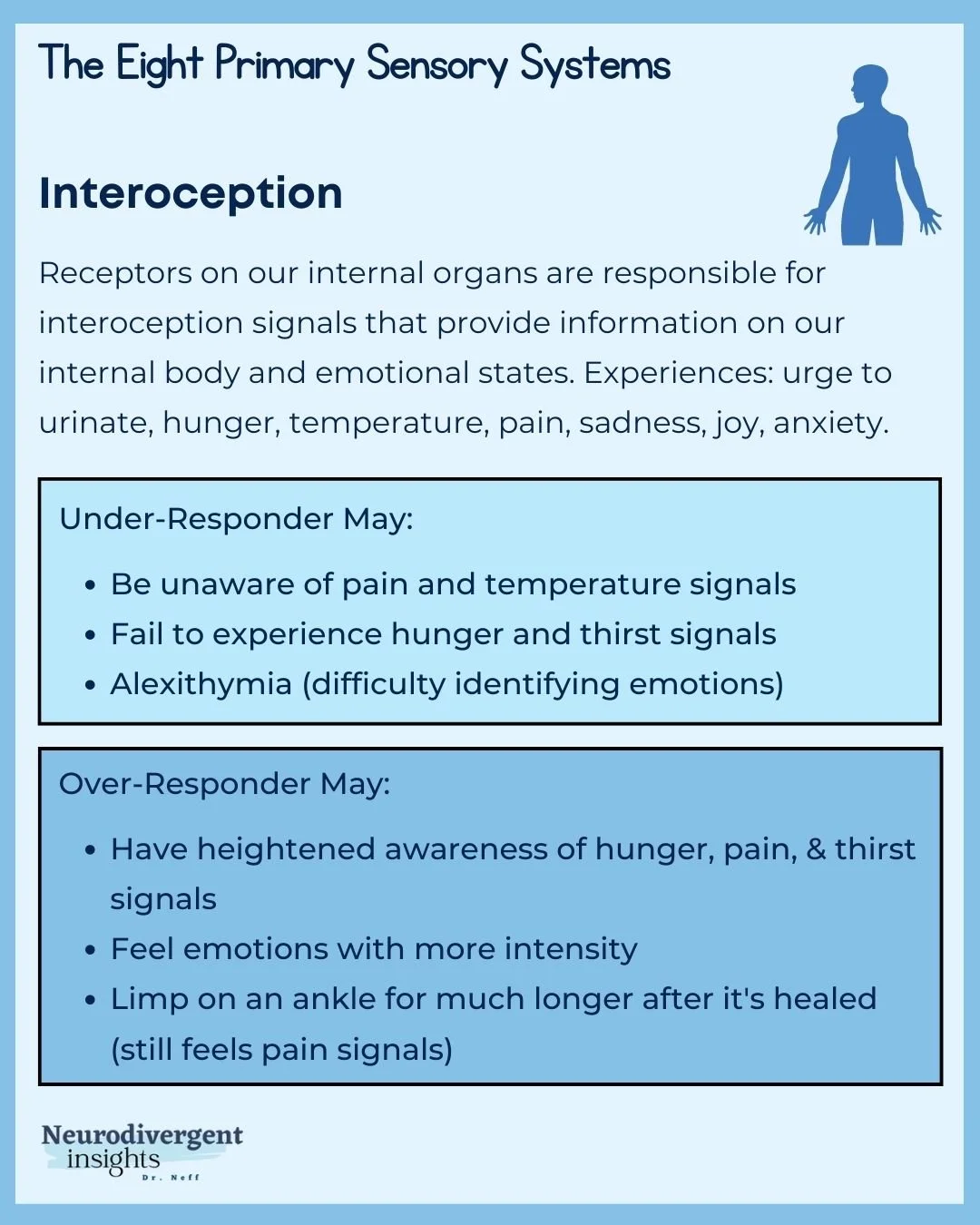 8 Senses of the Body | Exploring the Hidden Sensory Systems