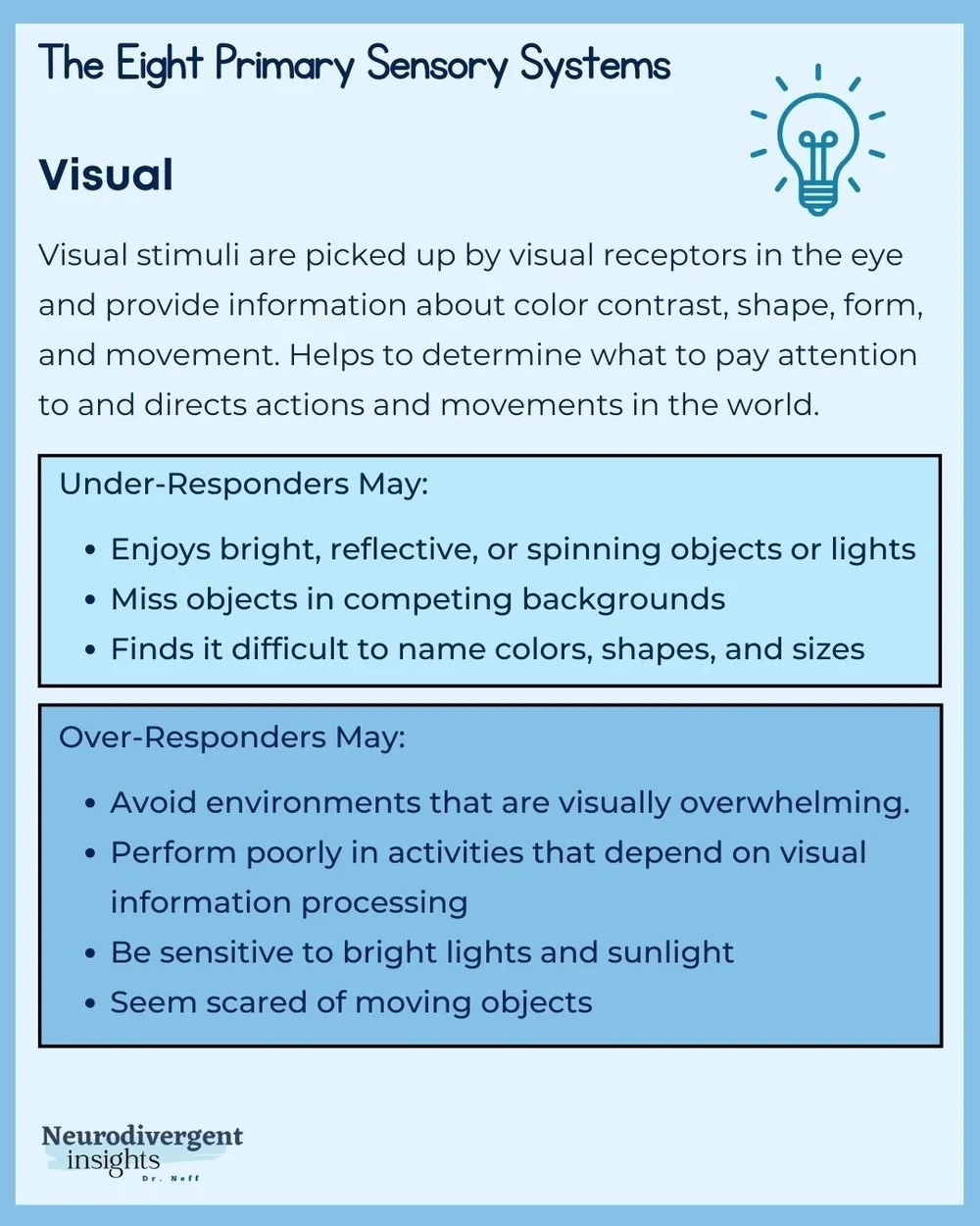 8 Senses of the Body | Exploring the Hidden Sensory Systems
