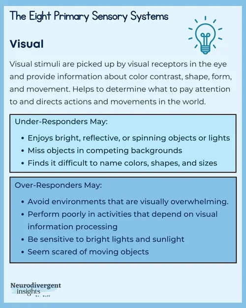 8 Senses of the Body | Exploring the Hidden Sensory Systems