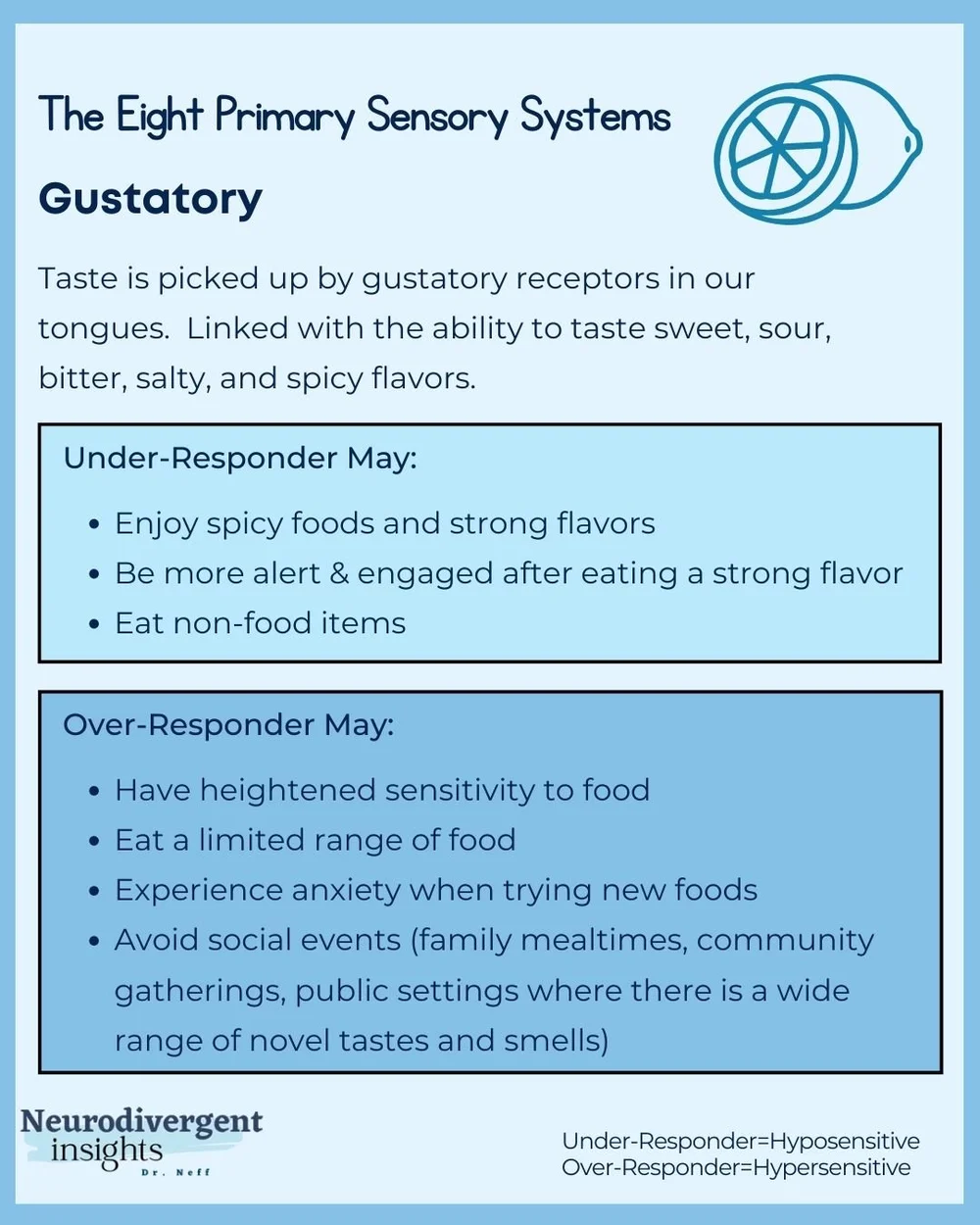 8 Senses of the Body | Exploring the Hidden Sensory Systems