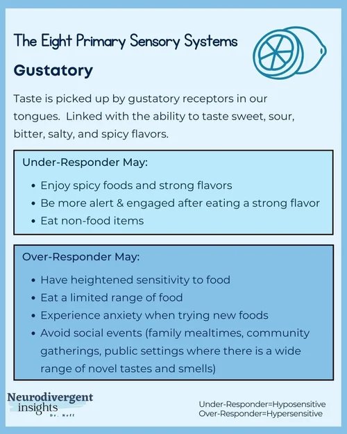 8 Senses of the Body | Exploring the Hidden Sensory Systems