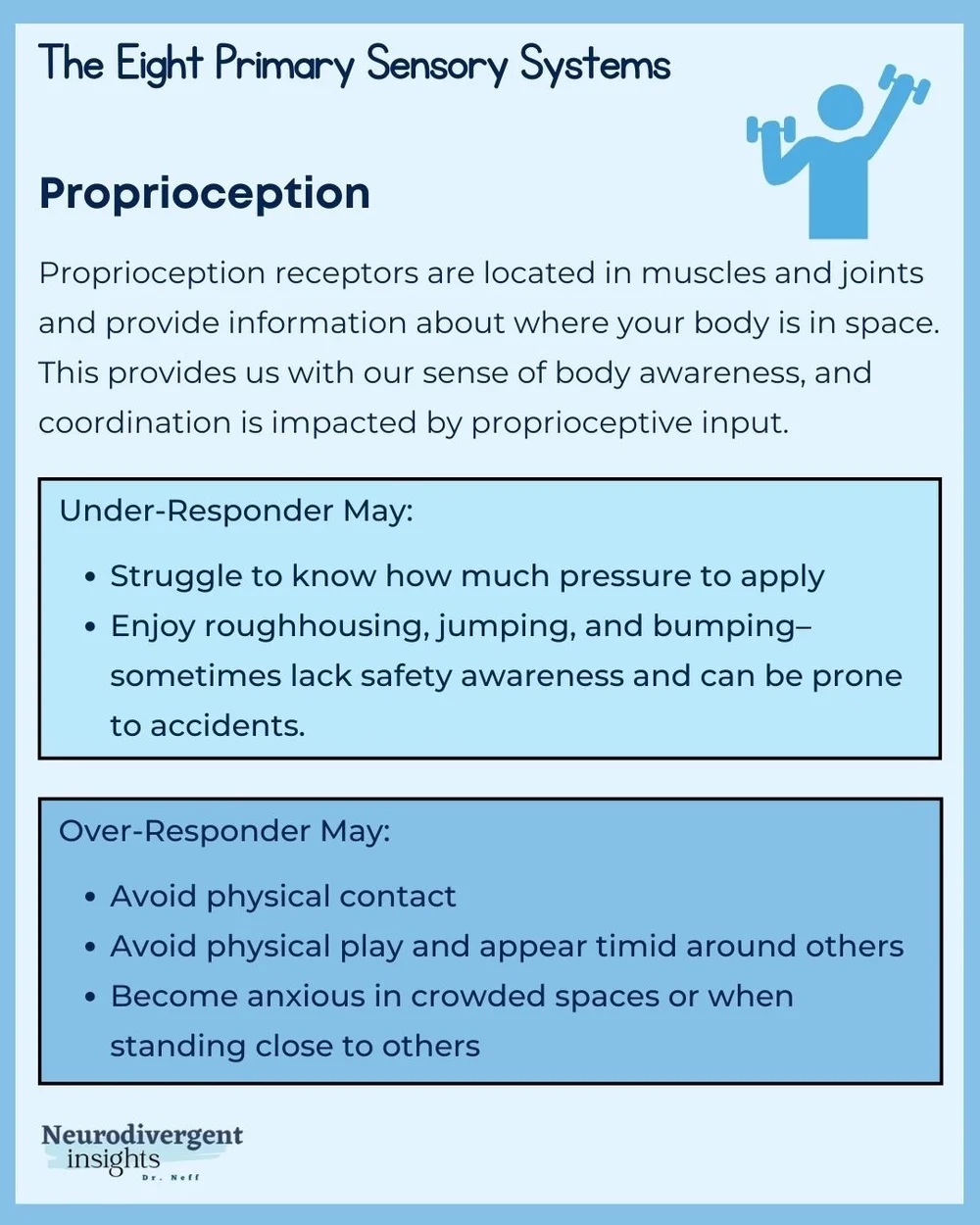 8 Senses of the Body: the Hidden Sensory Systems - Neurodivergent Insights