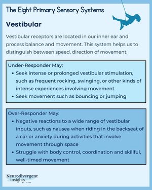 8 Senses of the Body | Exploring the Hidden Sensory Systems