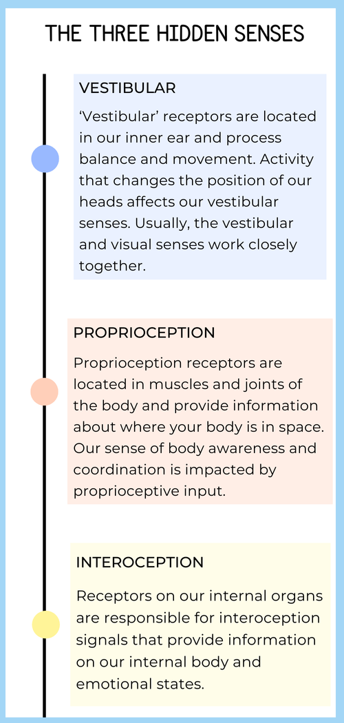 What Is Interoception? | How to Improve Internal Body Awareness
