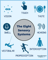 8 Senses of the Body | Exploring the Hidden Sensory Systems