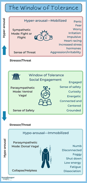 Hypoarousal and Hyperarousal: How to Tell Which State You're In ...