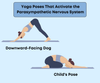8 Evidence-Based Relaxation Techniques for Calming Your Nervous System ...