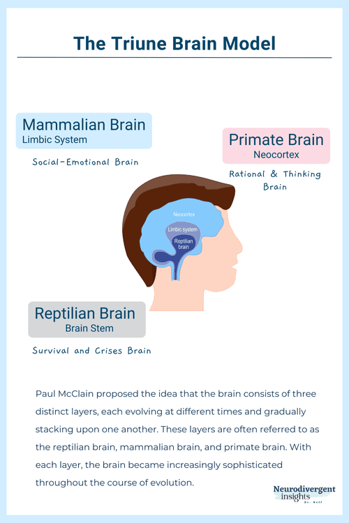 What Are Emotions? A Complete Neurodivergent Guide