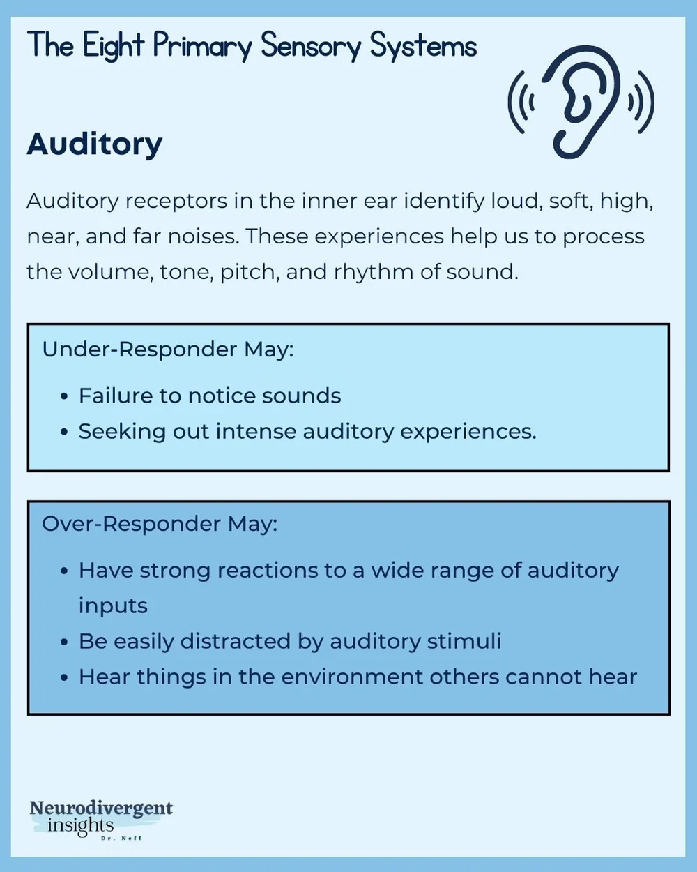 8 Senses of the Body | Exploring the Hidden Sensory Systems