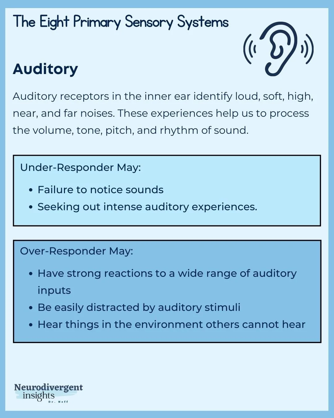 8 Senses of the Body | Exploring the Hidden Sensory Systems