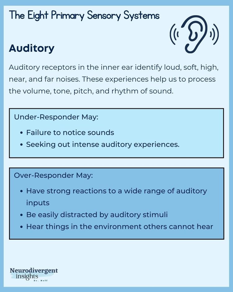 8 Senses of the Body | Exploring the Hidden Sensory Systems