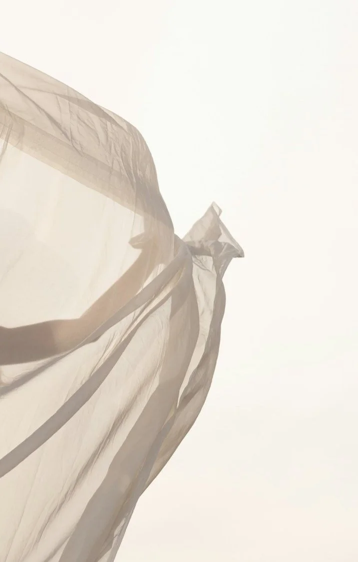 The Mysteries of the Veil — Radiant Rose Co.
