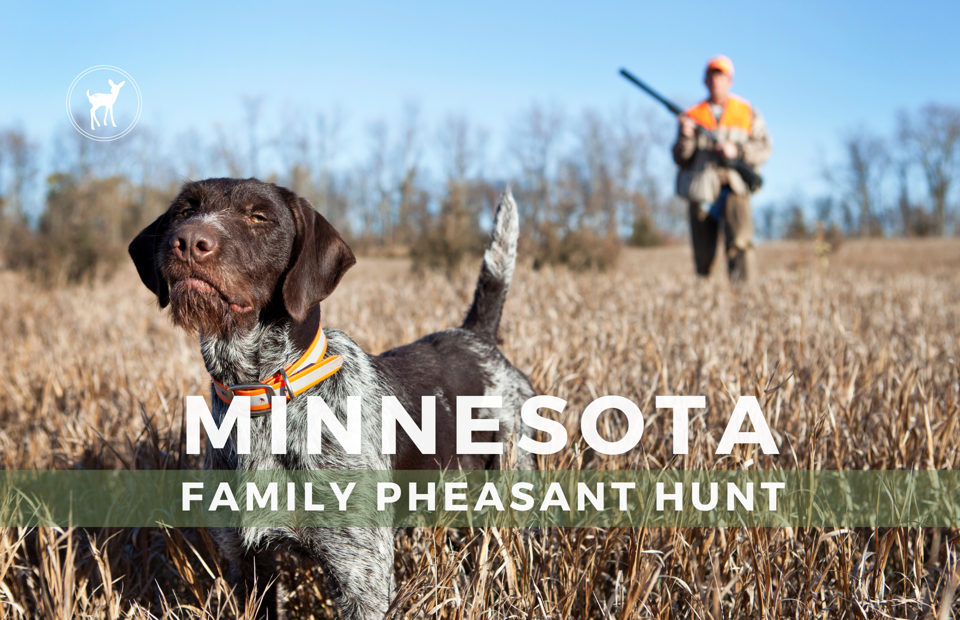 *RESCHEDULED* MINNESOTA FAMILY PHEASANT HUNT — LITTLE WILDERNESS