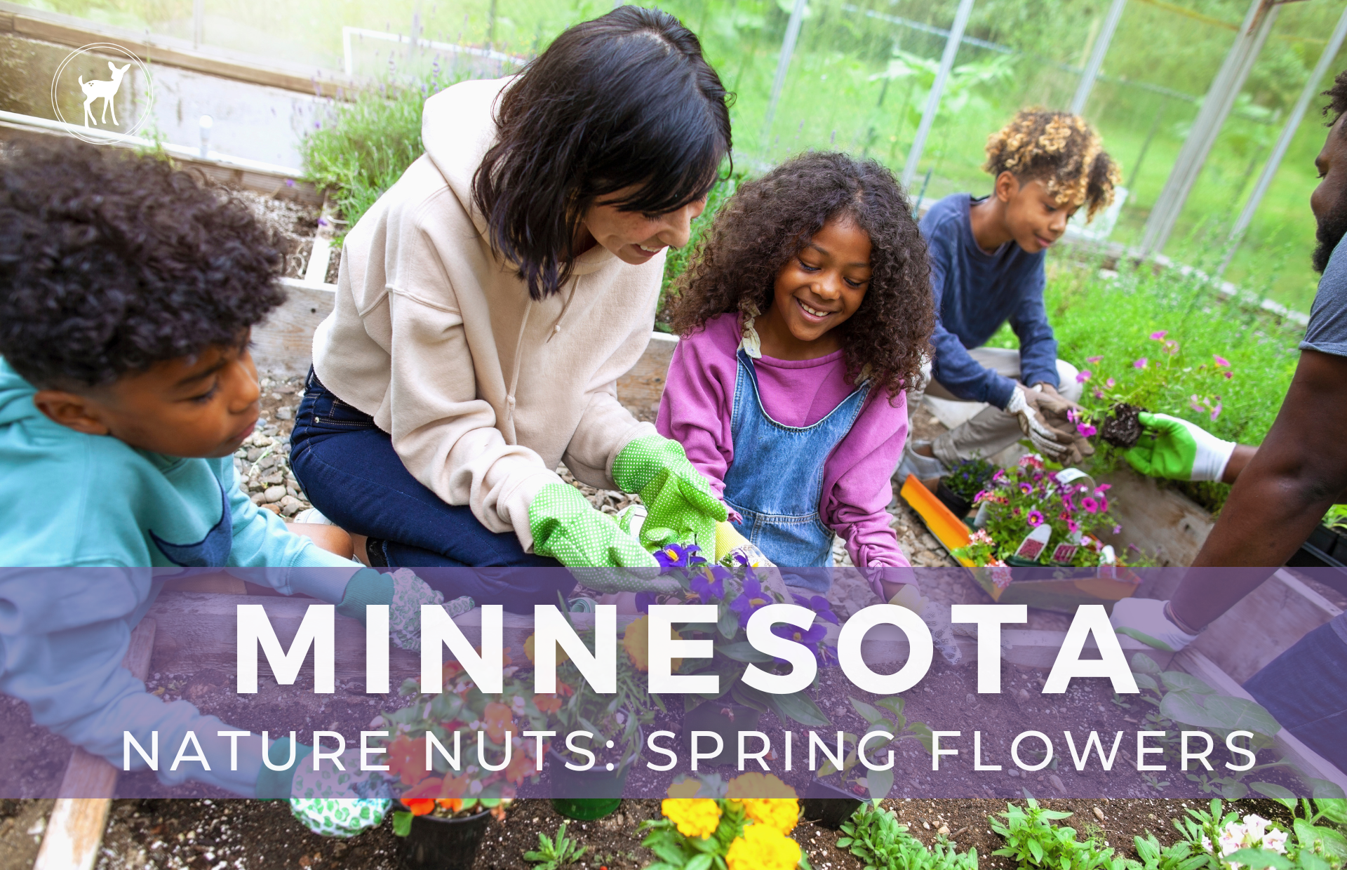 MINNESOTA NATURE NUTS: SPRING FLOWERS — LITTLE WILDERNESS