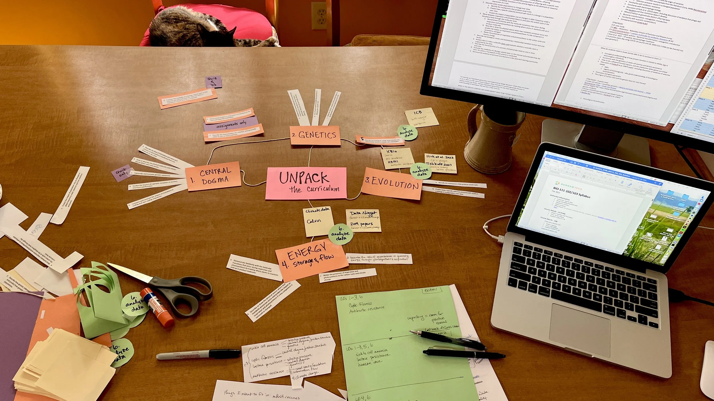 Blog 3 — Jayme Dyer, PhD