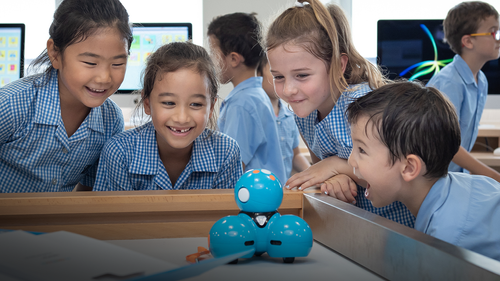 School Admissions — Discovery Bay International School