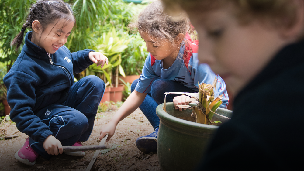 Discovery Bay International School