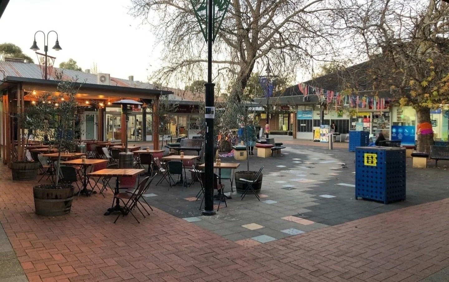 Cafe — Niugini Arabica