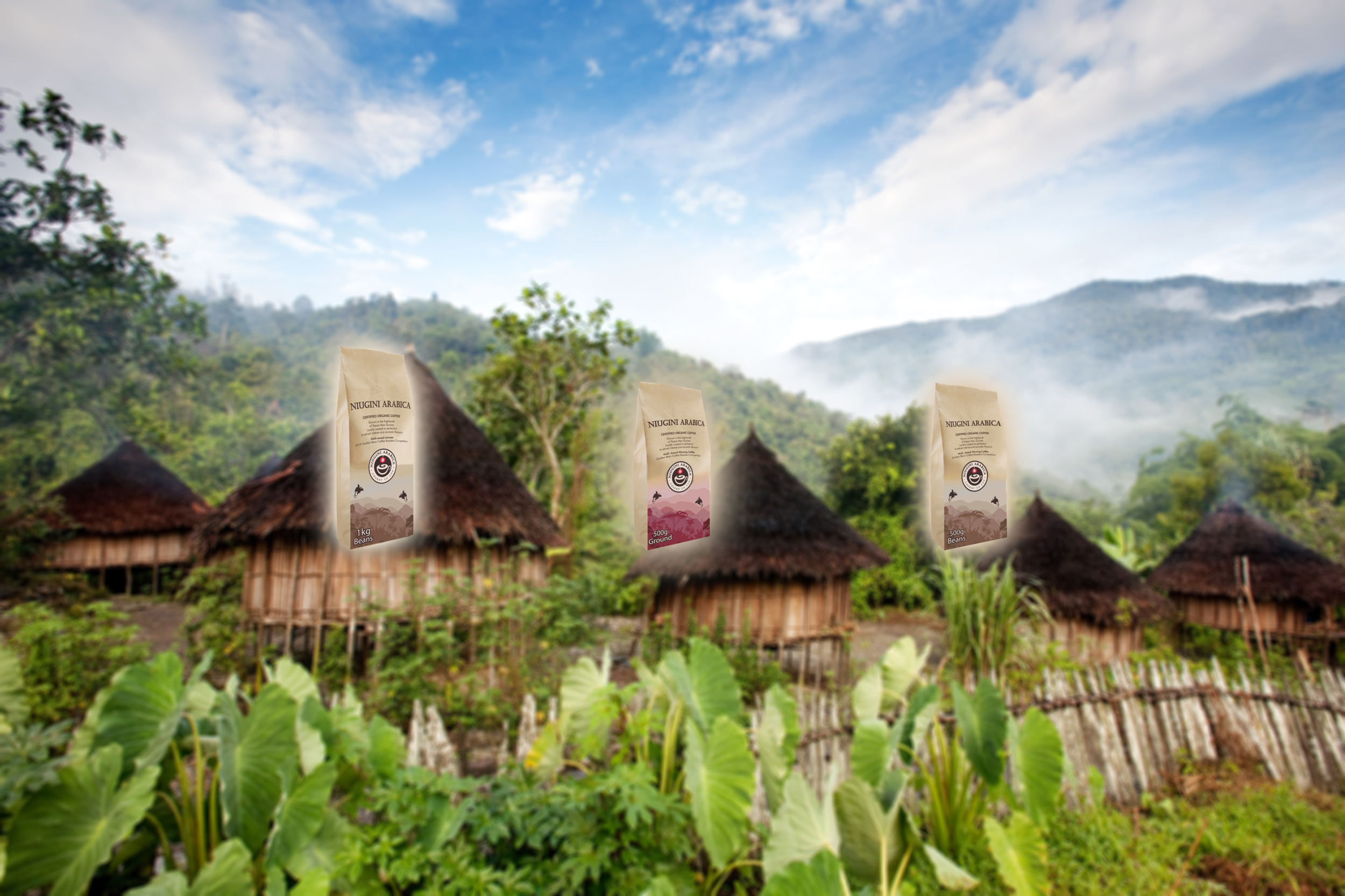 Niugini Arabica Coffee Roasters