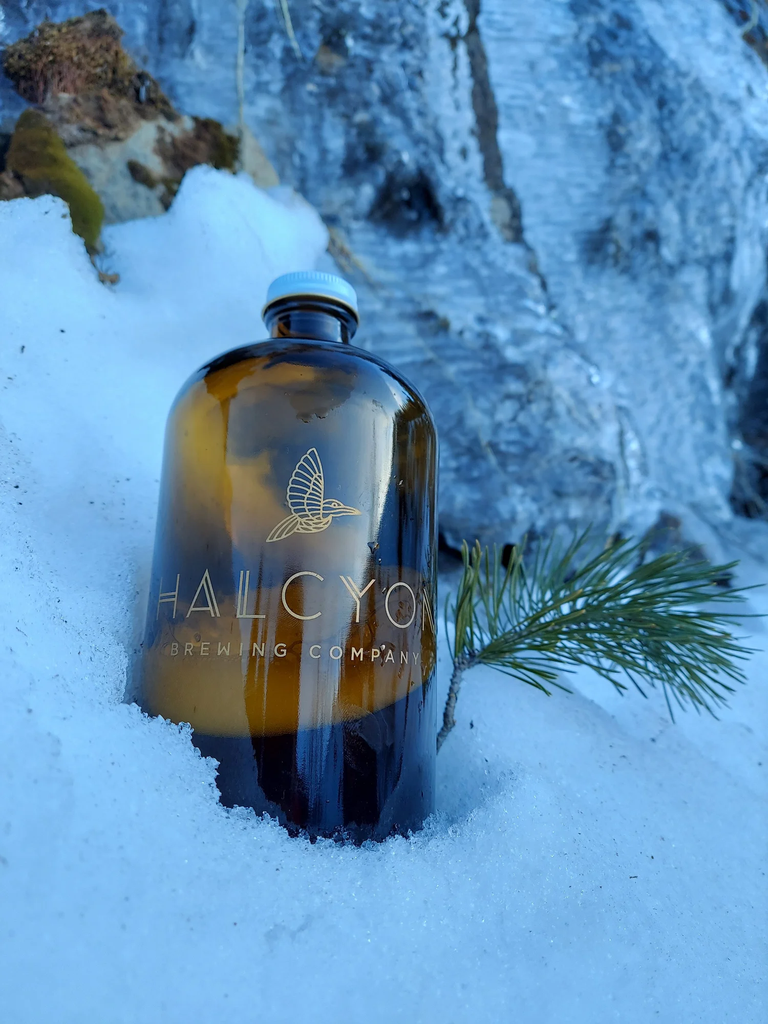 Welcome to Halcyon