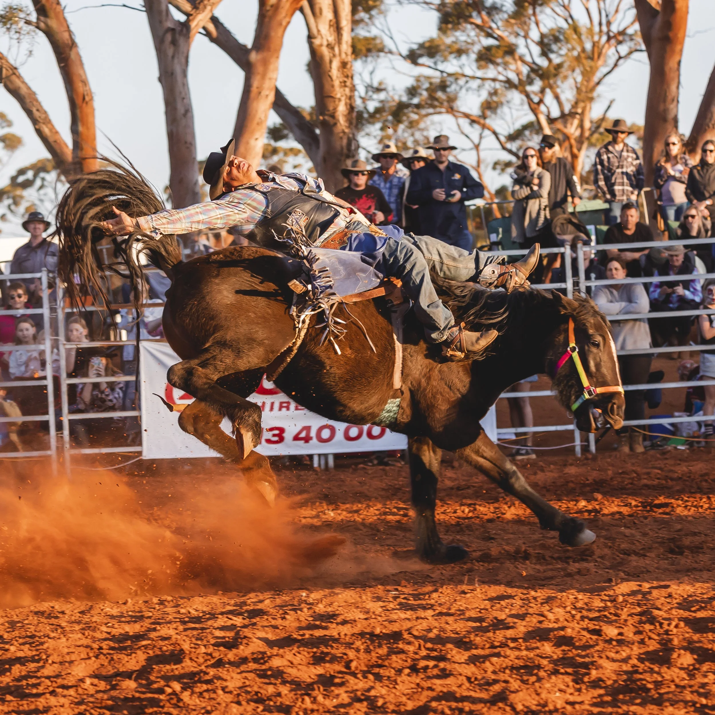 Rodeo Highlights — Outback Rodeos Inc.
