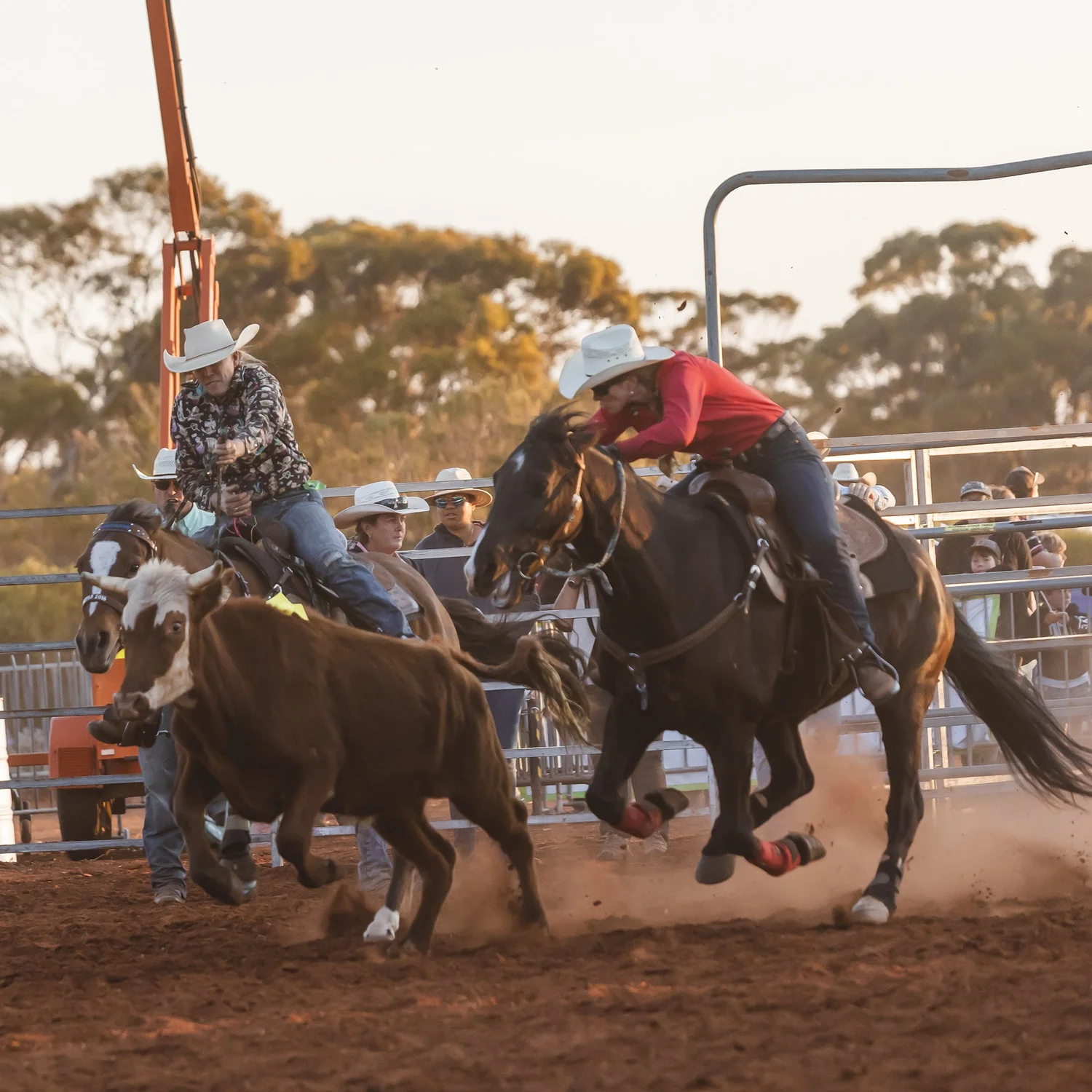 Rodeo Highlights — Outback Rodeos Inc.
