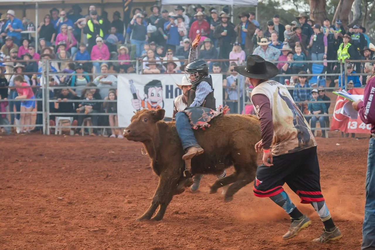 Gallery — Outback Rodeos Inc.
