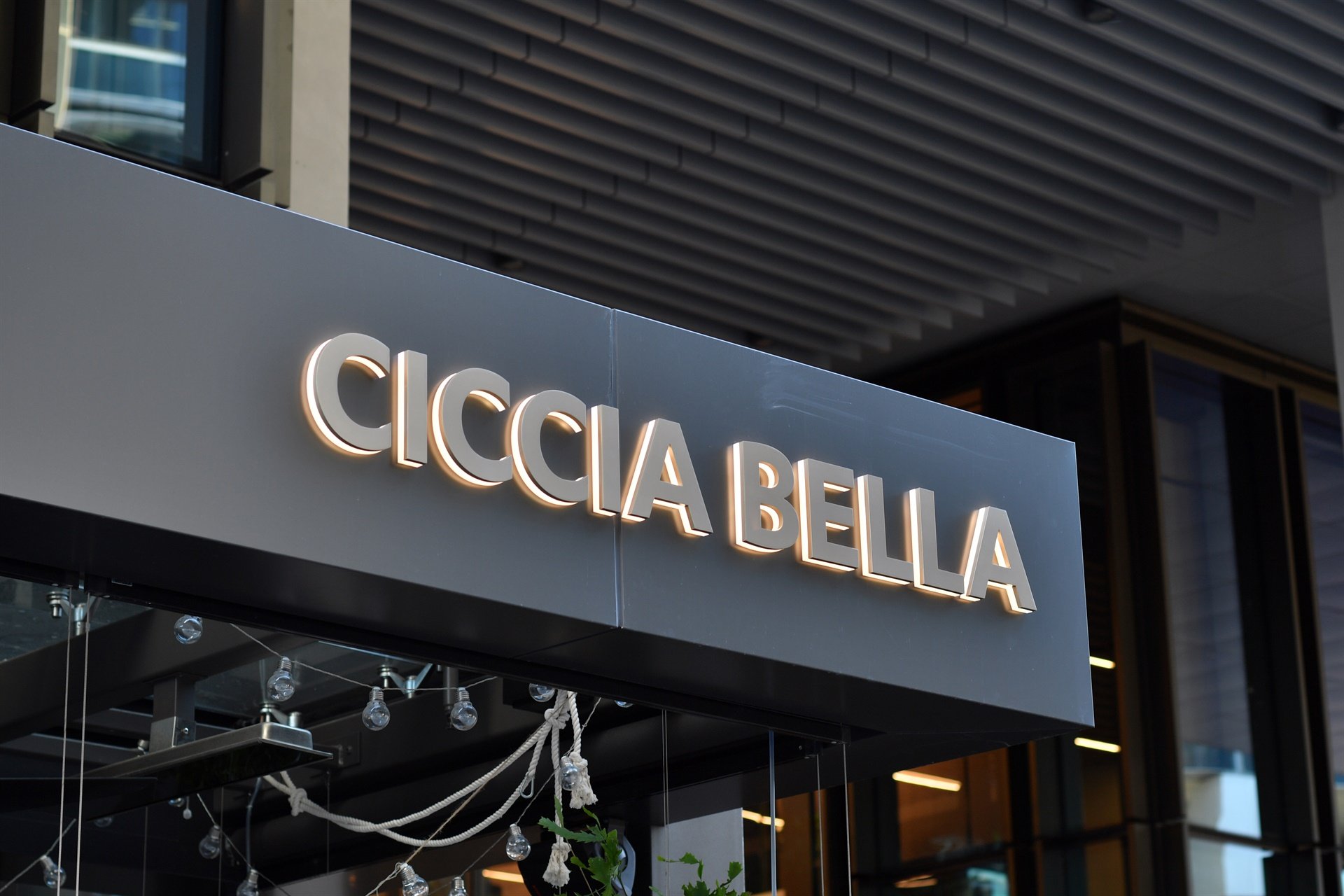 Custom Commercial Illuminated Signage | Spike Design | Spike