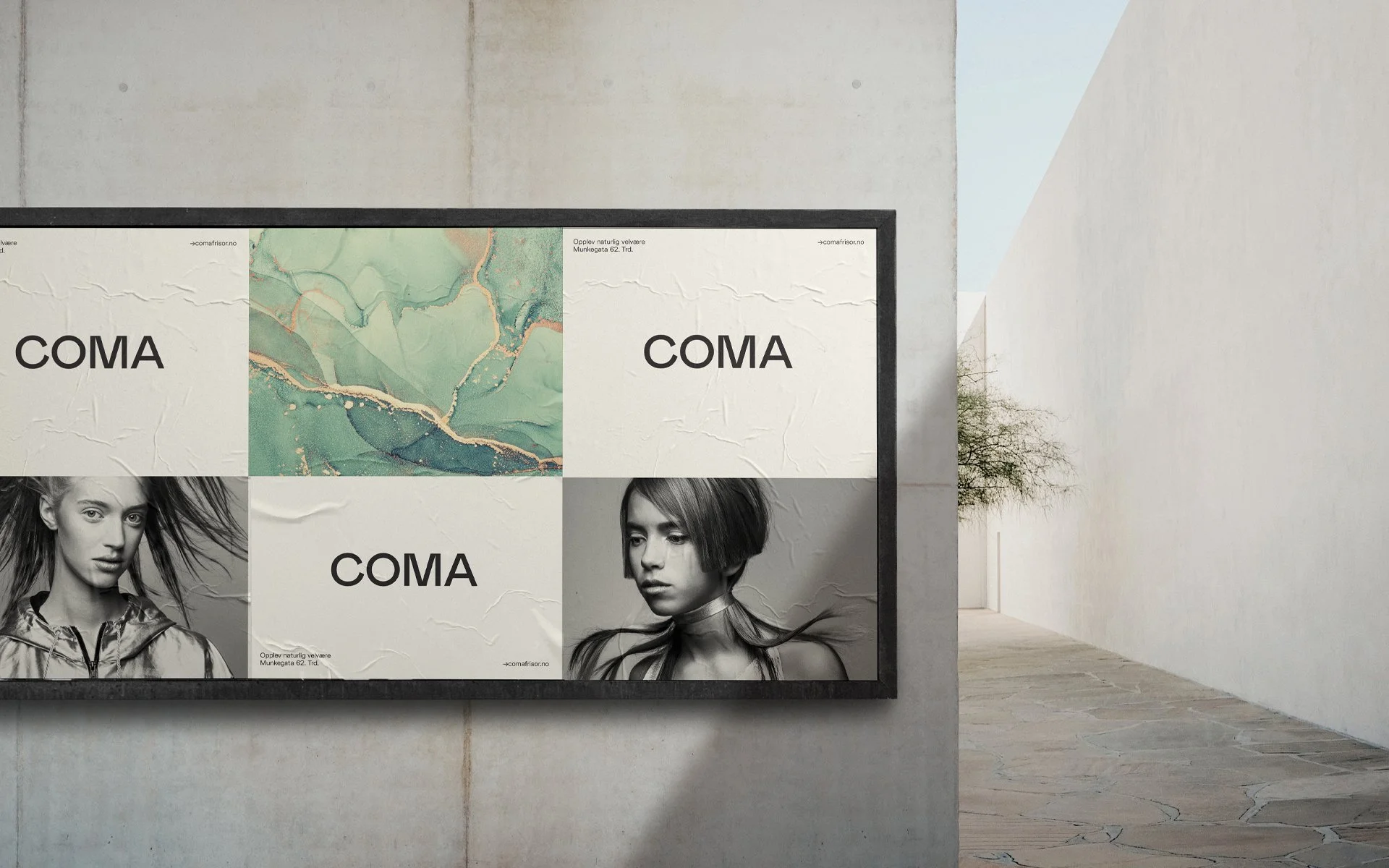 Coma — by north