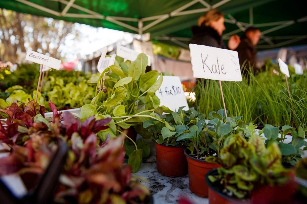 Jan Powers Farmers Markets | Brisbane — Contact