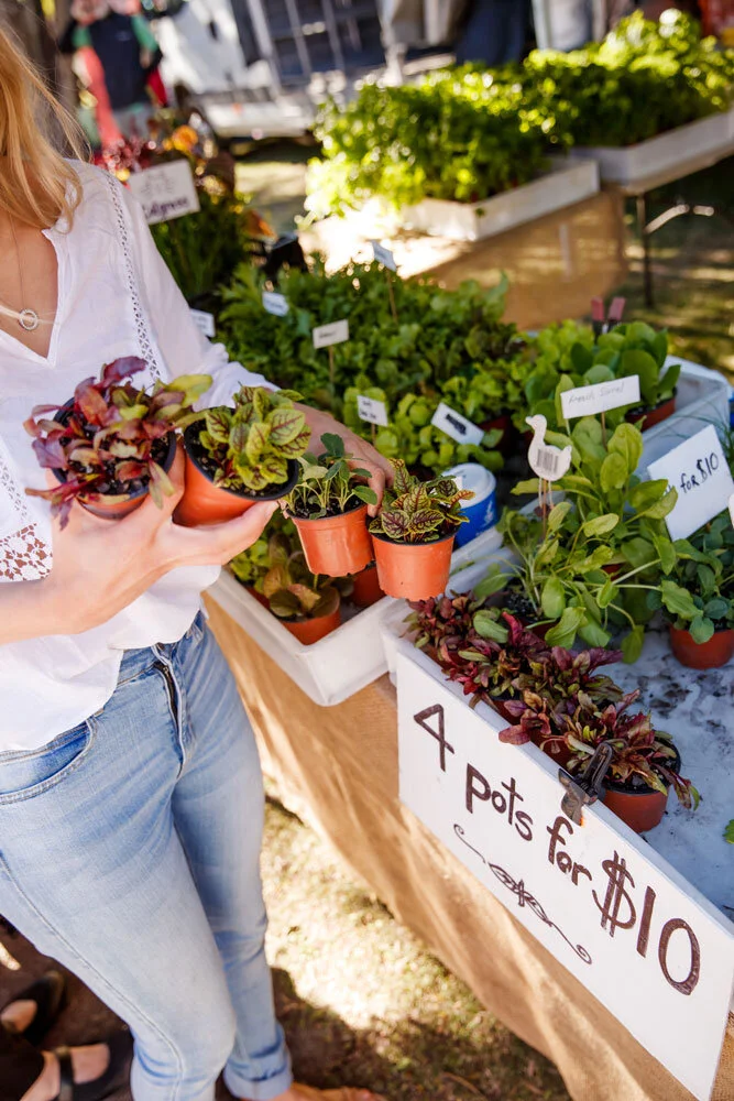 Jan Powers Farmers Markets | Brisbane