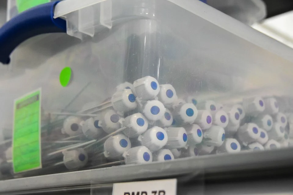 Capabilities — Red Star Contract Manufacturing