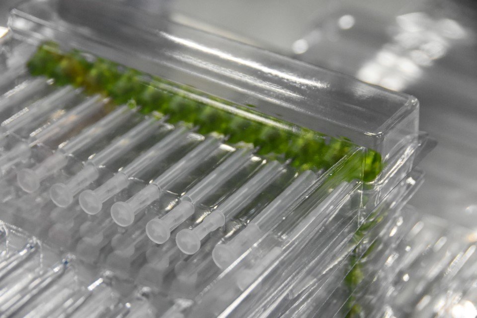 Sterile Packaging and Kitting Capabilities at Red Star Contract ...