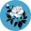 Alberta — Trax Codes