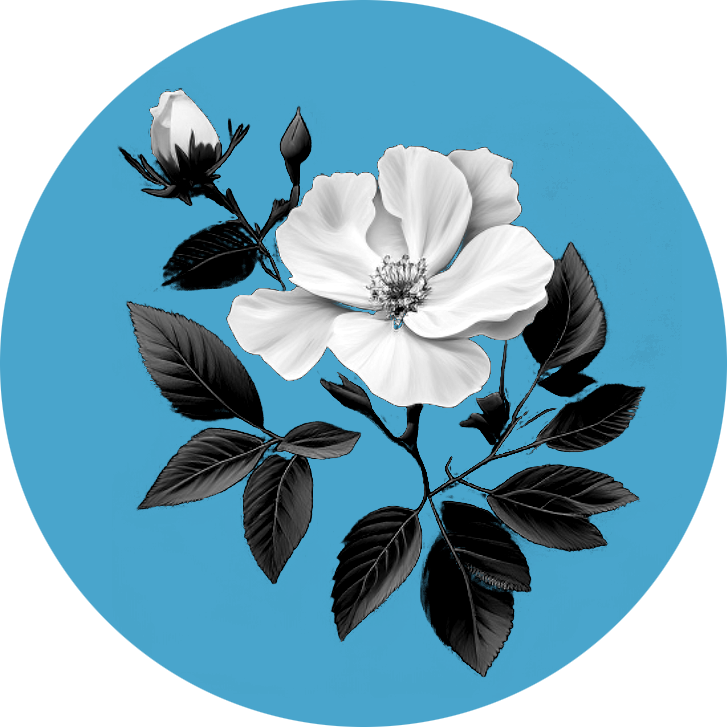 Alberta — Trax Codes