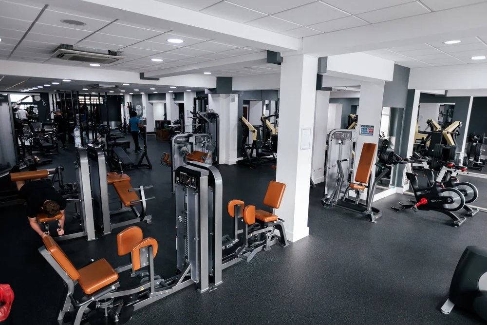 Stack House Gym Westcliff — Stack House Gym