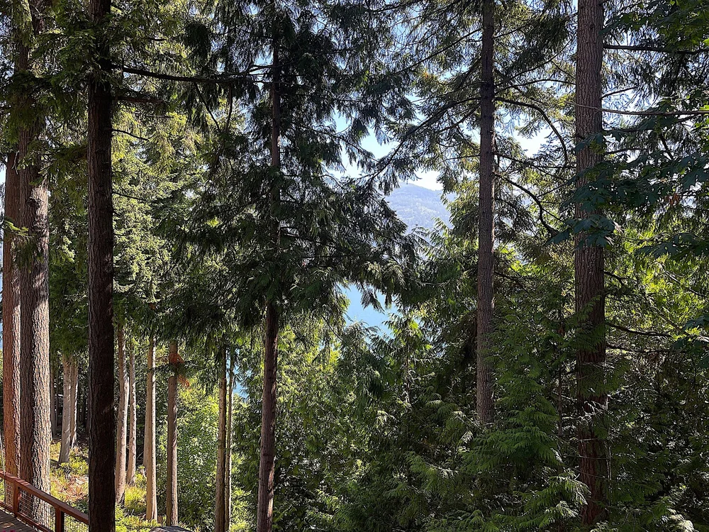 Courseware Development — Leading Software Maniacs