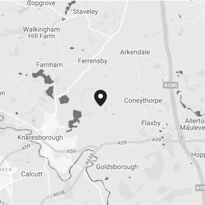 Contact | Get in Touch Today — Hopewell Studios