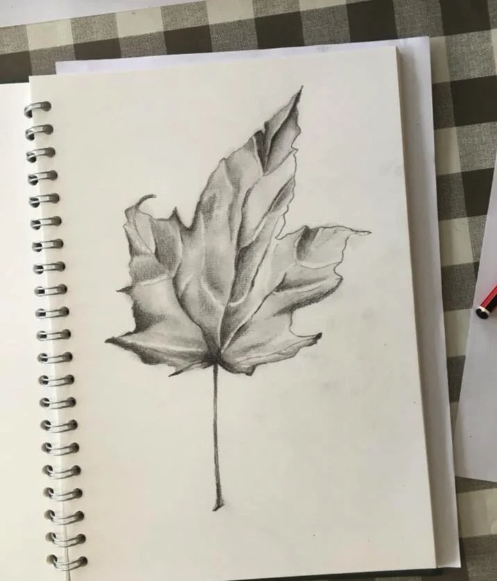 Sketching for the Terrified with Fiona Odle — Hopewell Studios